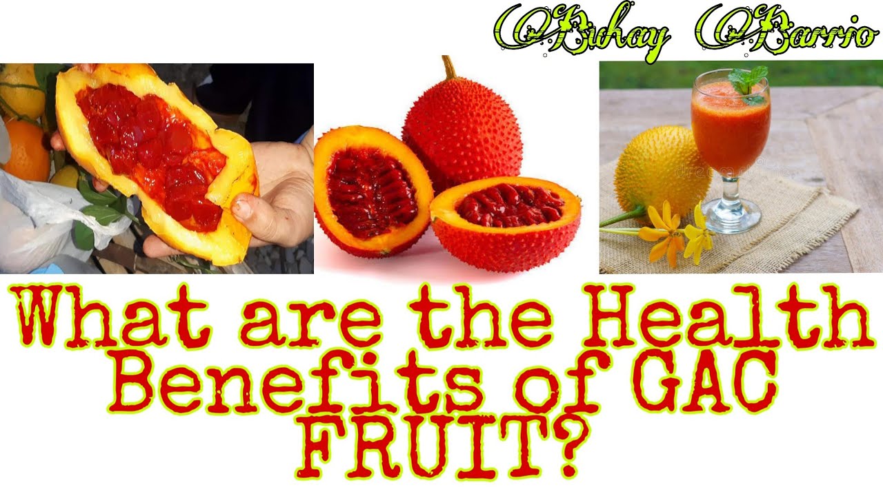 "FRUIT FROM HEAVEN" ---GAC FRUIT - YouTube
