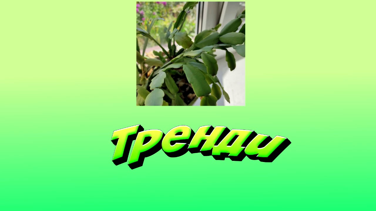 Sain-Тренди (ft. SkyAx) прем'єра треку - YouTube