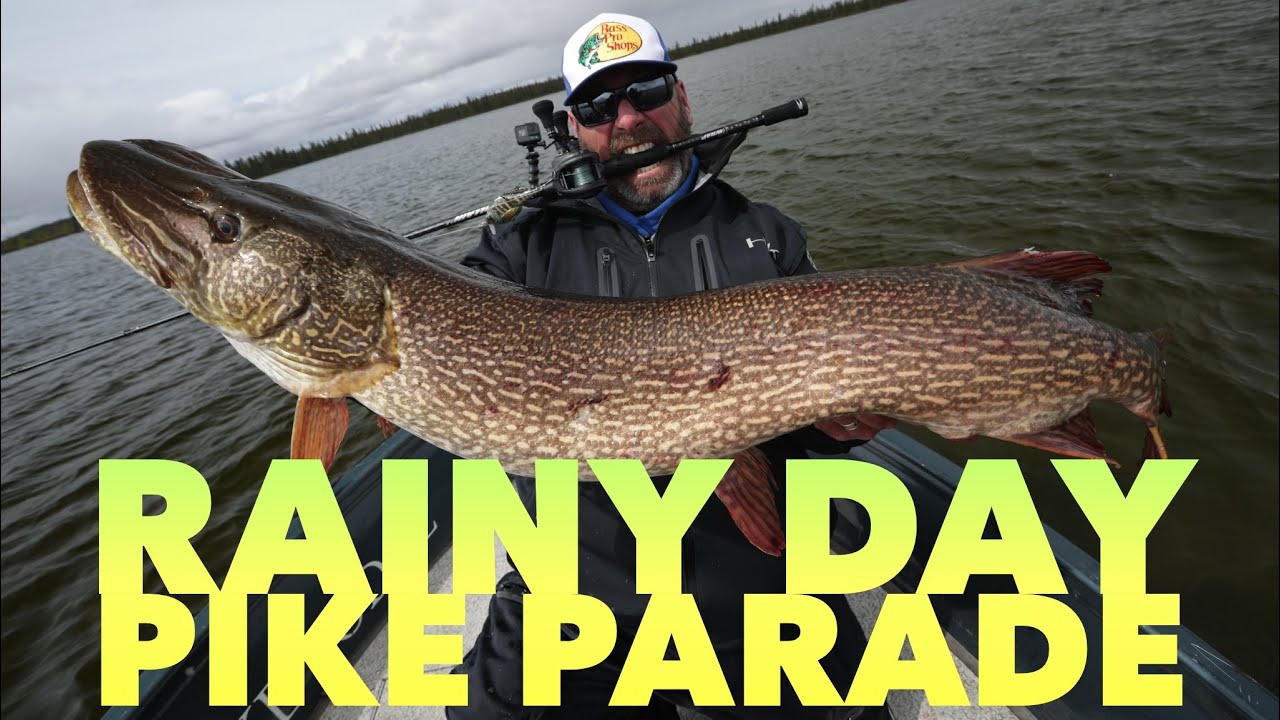 YOU CAN'T RAIN ON MY PIKE PARADE - Dave Mercer's Facts of Fishing THE ...