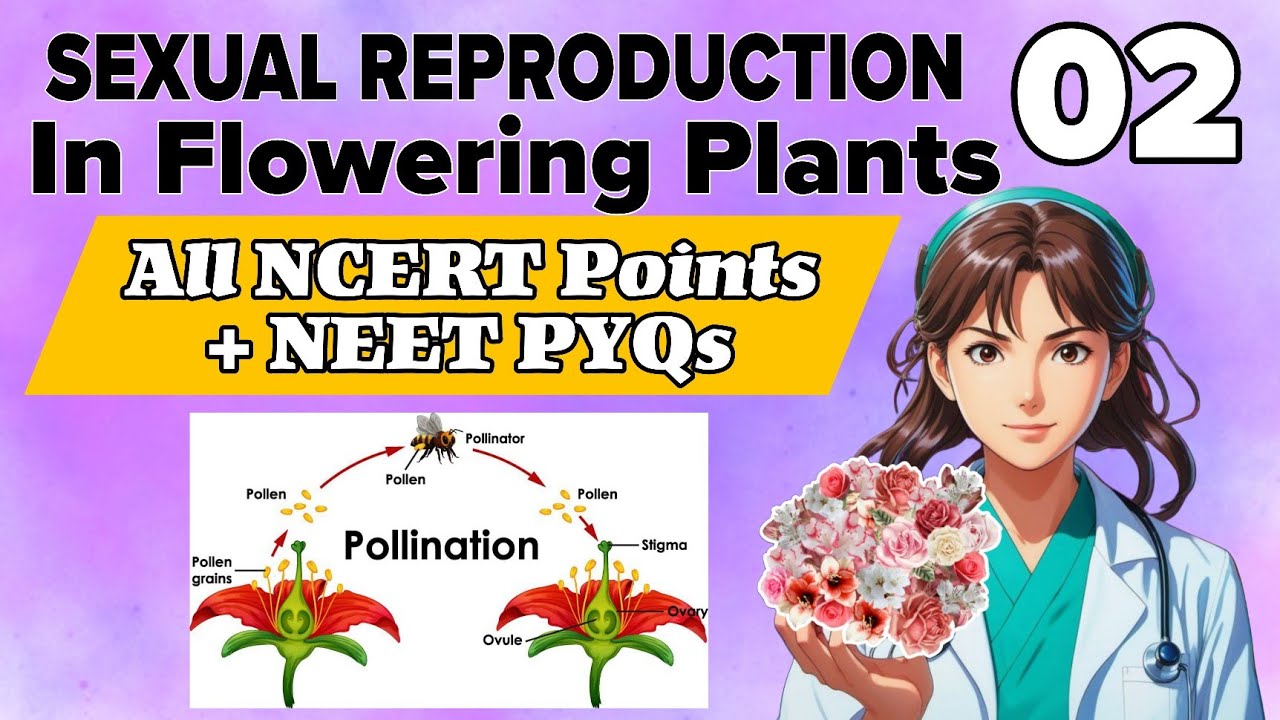 Sexual Reproduction In Flowering Plant PART 2 l NCERT l NEET PYQ l For ...