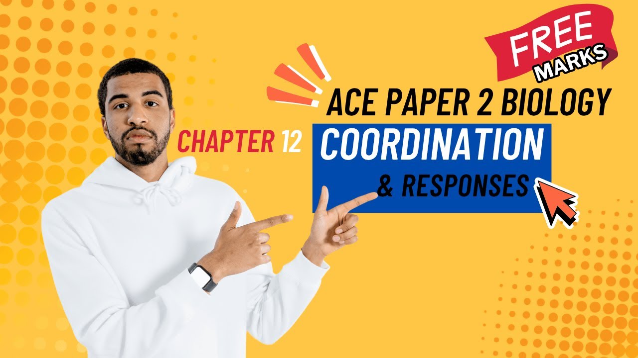 Get full Mark in Paper 2 Biology | Chapter 12 IGCSE Coordination and ...