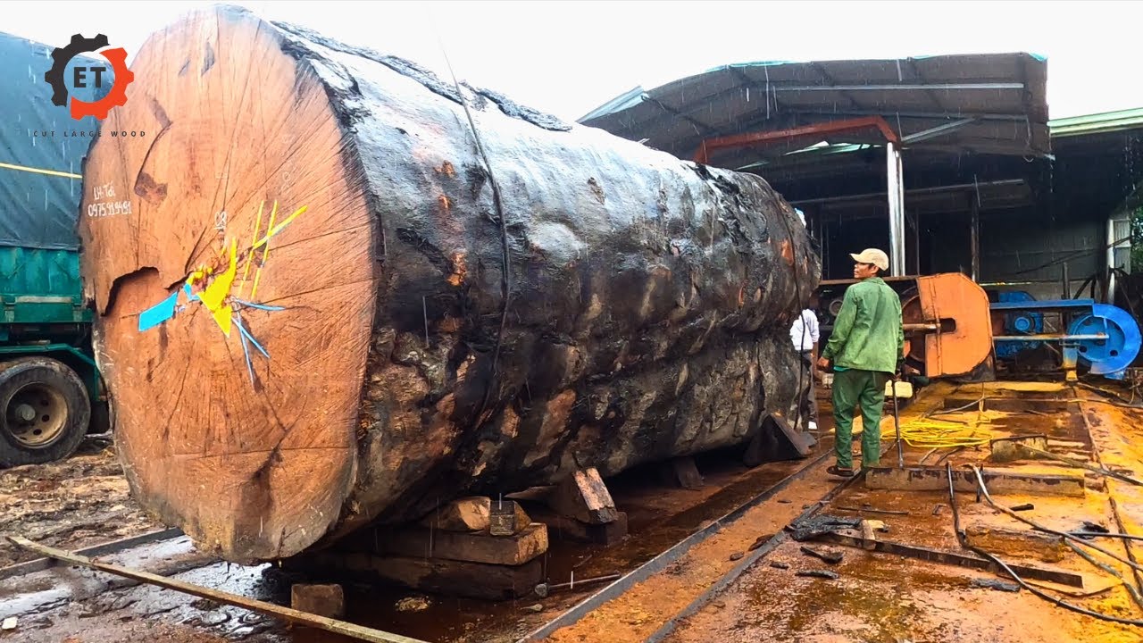 Full Excellent sawing process for the hardest and most beautiful wood ...