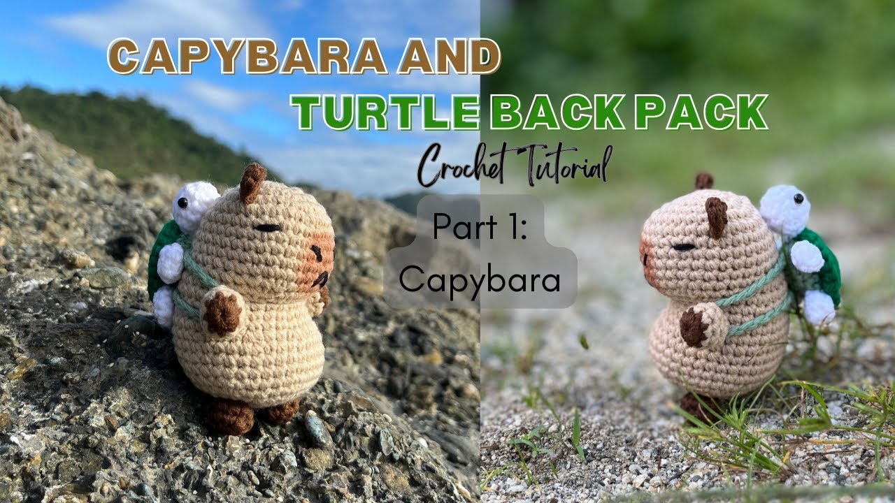 How to Crochet Capybara with Turtle Back Pack Simple Tutorial beginner ...