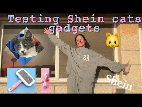 Testing Shein Cats gadgets !! (ft. Hope - my kitten 🐱) | Razan’s Way ...