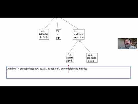 Pronumele - recapitulare, clasa a VII-a (negativ, demonstrativ, posesiv ...