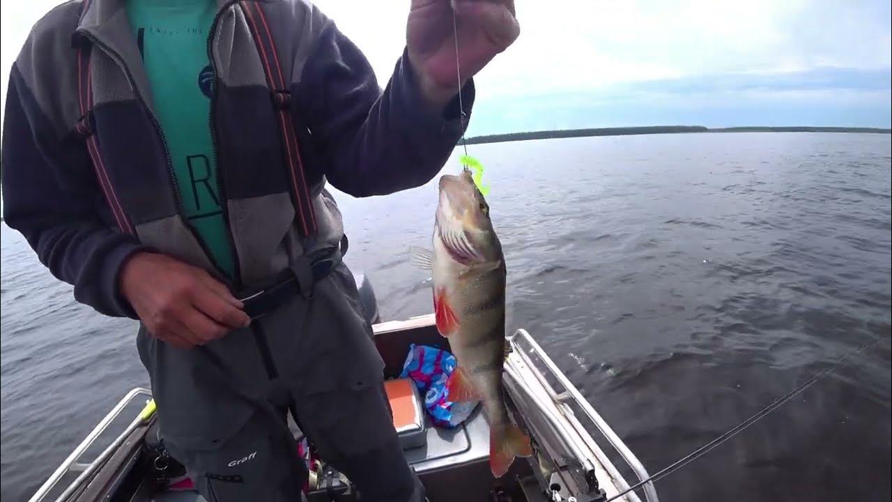 Рыбинка 2023. Рыбалка с Пахомычем. Осваиваю Garmin Panoptix LiveScope ...