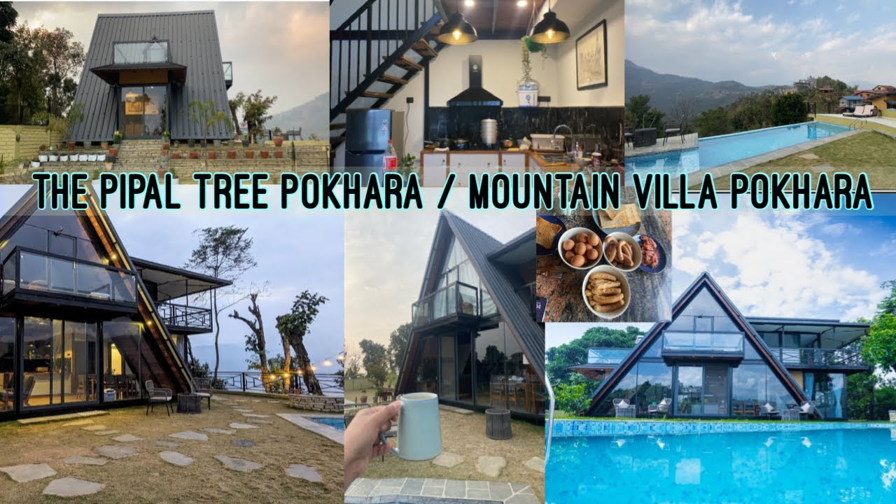 The pipal tree pokhara / mountain villa pokhara #thepipaltree #pokhara ...