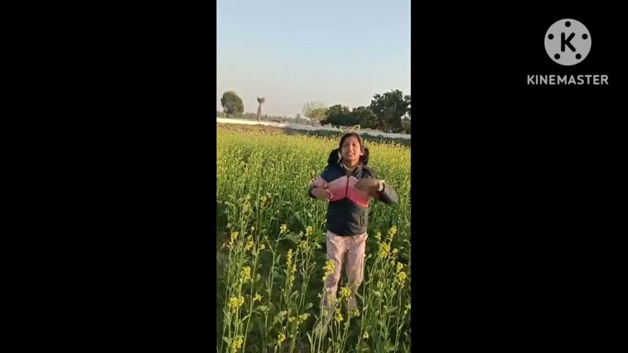 sarso ka khet aur us me mast dance - YouTube sarso ka khet aur us me mast dance - YouTube