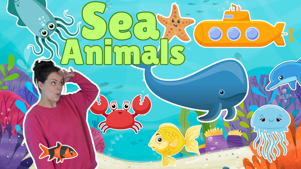 Under The Sea! Toddler Learning Sea Animals, Colours, Sounds & More ...