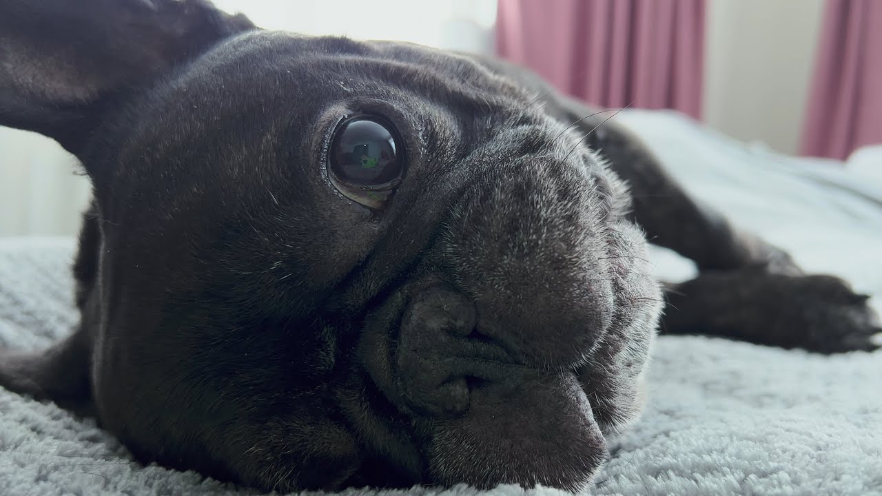 Oleg has a flat face, but his face can open any door and any heart ...