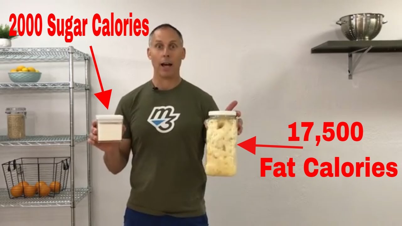 Muscles use sugar and fat depending on intensity level - YouTube