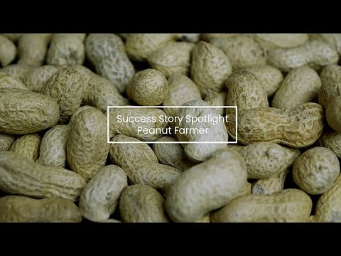 Success story spotlight - Peanut Producer - YouTube