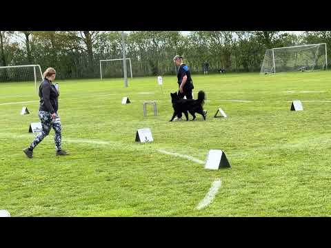 10/5-26 Ekspert 99p 2. pl Smidstrup Hallen ME