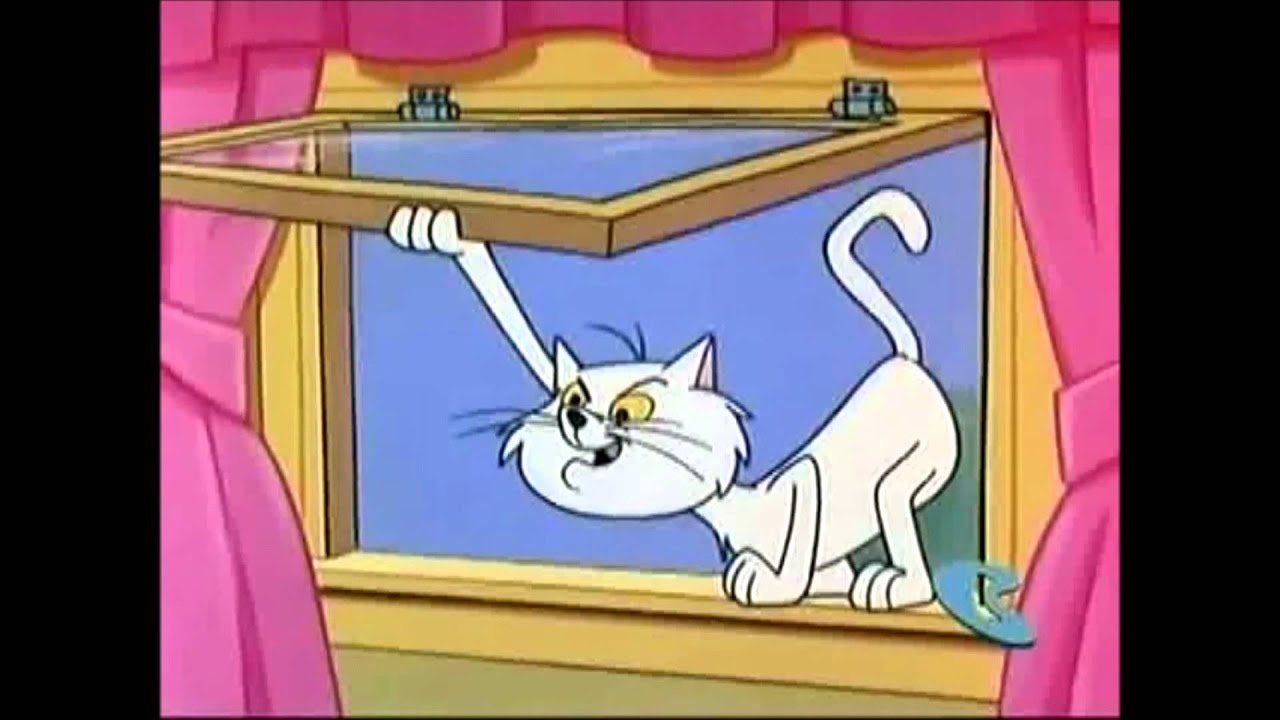 LINDO PULGOSO - YouTube