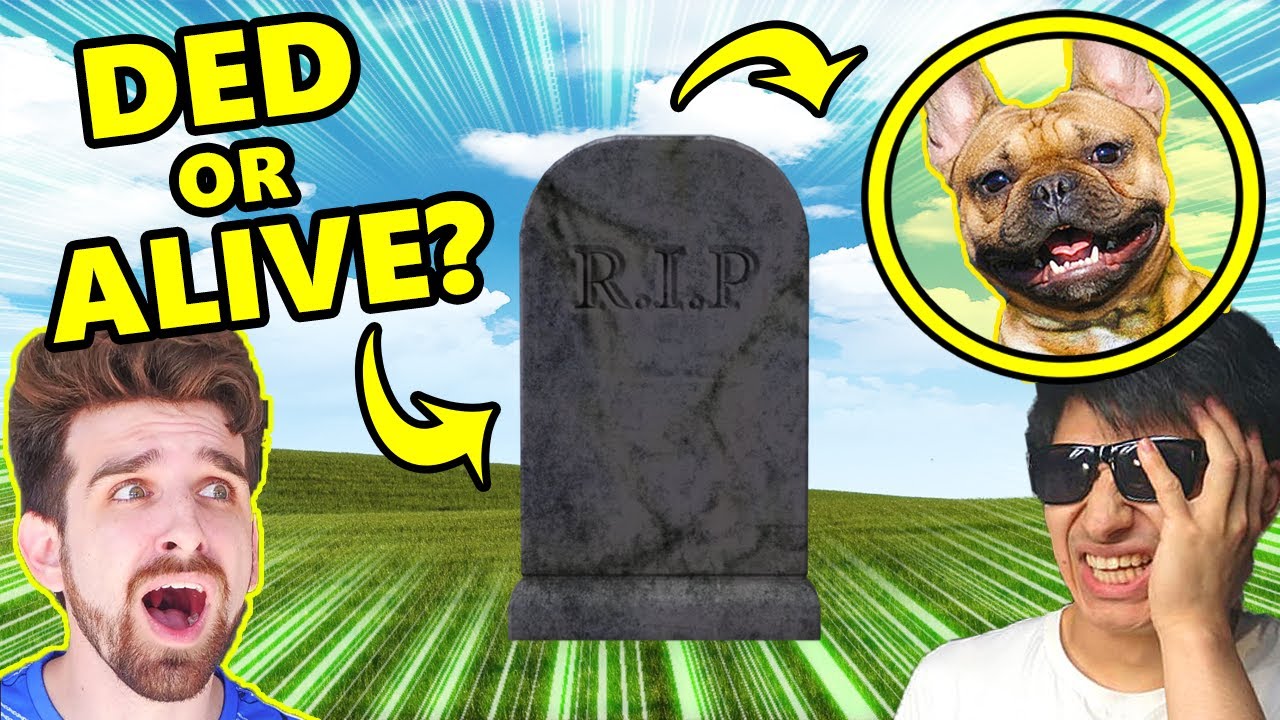 IS DOUGLAS DED OR ALIVE ?! From Chad Wild Clay Vy Qwaint Spy Ninjas New ...