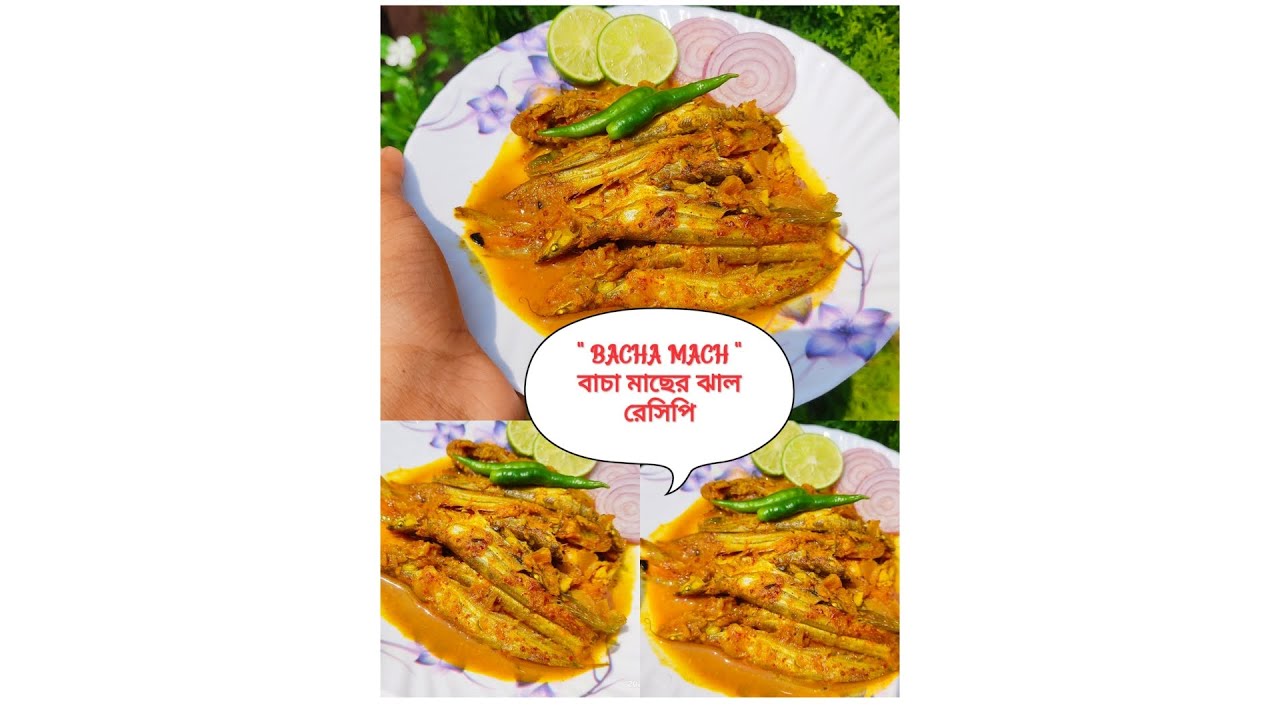 বাচা মাছের ঝাল//bacha mach ar jhal//Fish Recipe//BACHA MACH//মাছের ঝাল ...