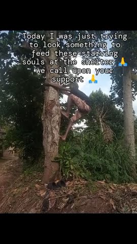 Donation link in bio please consider donate any amount helps no matter ...