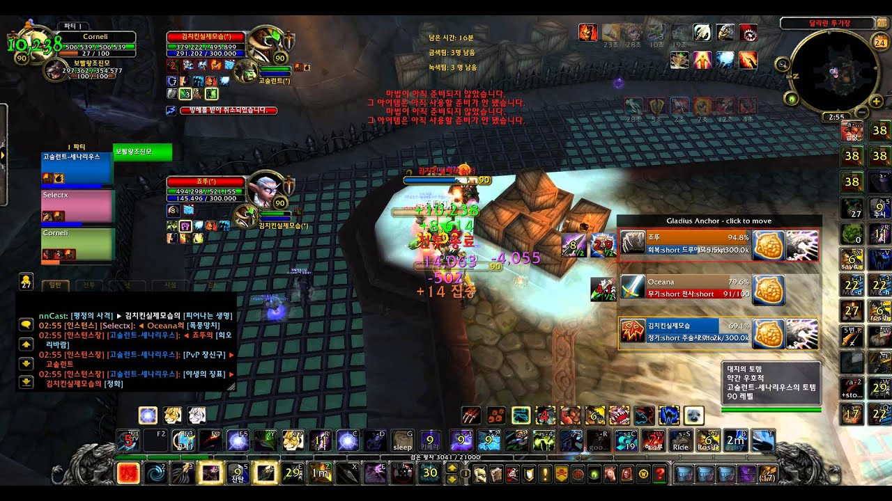 고냥기 vs 전정드 | Beast Cleave vs WSD | World of Warcraft arena | - YouTube