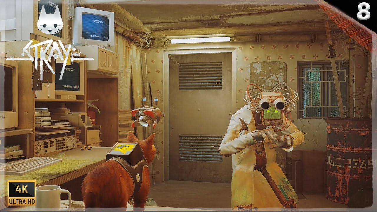 EL DOC | Stray Gameplay Argentina | #8 - YouTube