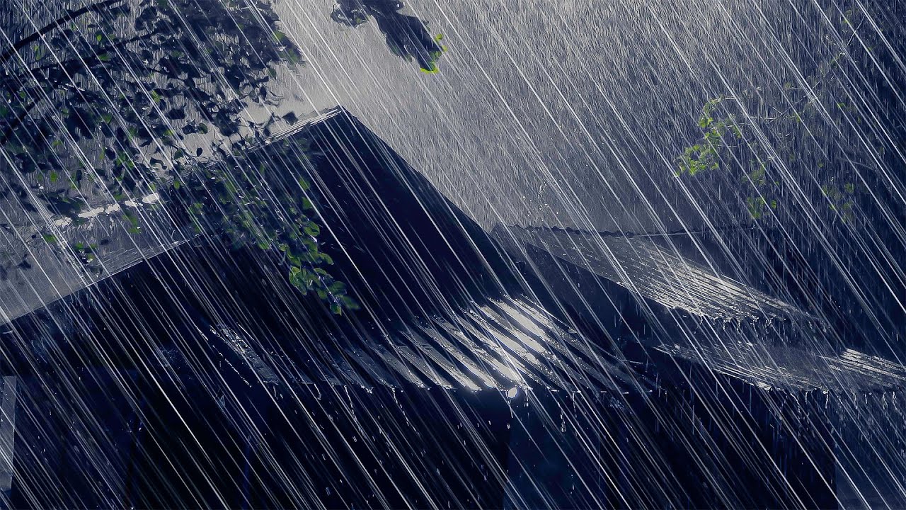 I Bet You Can't Stay Awake for More Than 3 Minutes When Watching This ...