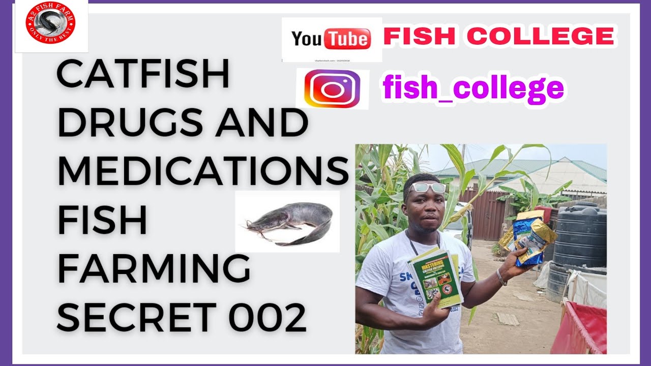 CATFISH Medication and Drugs .Secret 002 - YouTube