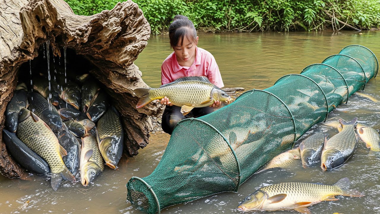 Amazing: How to Harvest GIANT Fish - Primitive to Ancient Fish Traps ...