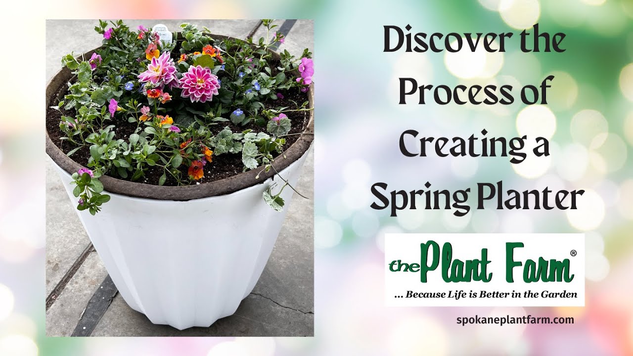 Discover the Process of Creating a Spring Planter -The Plant Farm ...