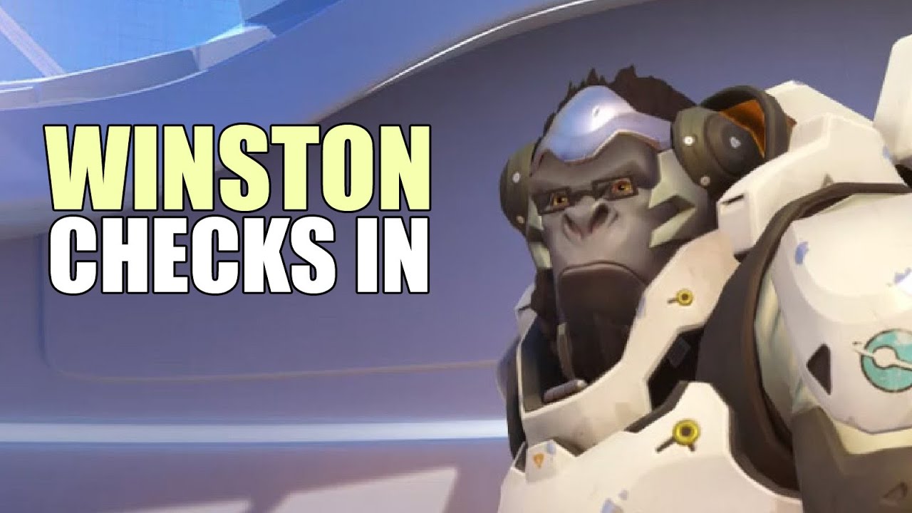 Winston Checks In - YouTube