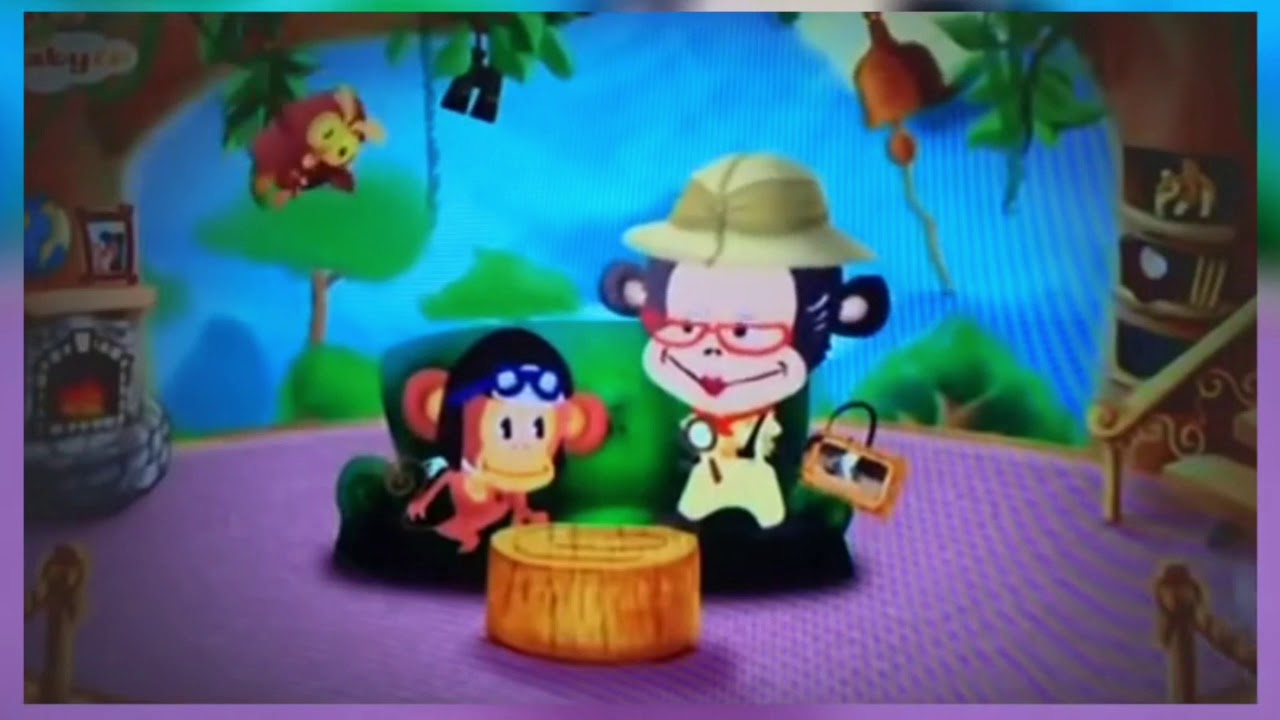 BaBy Tv | ANIMAL PARTY (TORTOISES)| BaBy SoNgs - YouTube