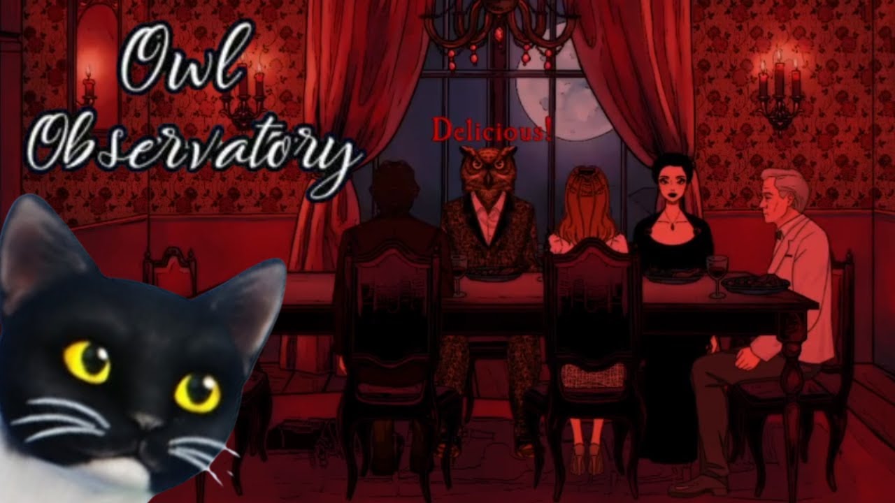 Owl Observatory | First Attempt - YouTube