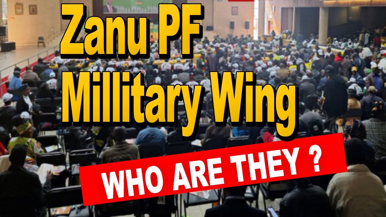 President Mnangagwa Zanu PF Military Organ War Vets League; REVEALED ...