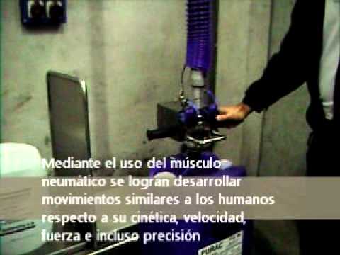 FULCRUM SRL = MUSCULO NEUMATICO II - YouTube