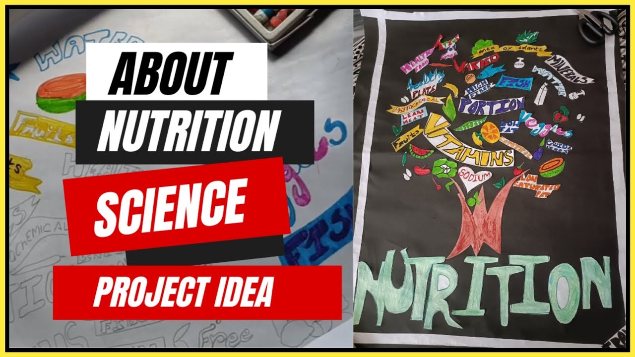 About Nutrition Science project idea | Science Project On chart Paper ...