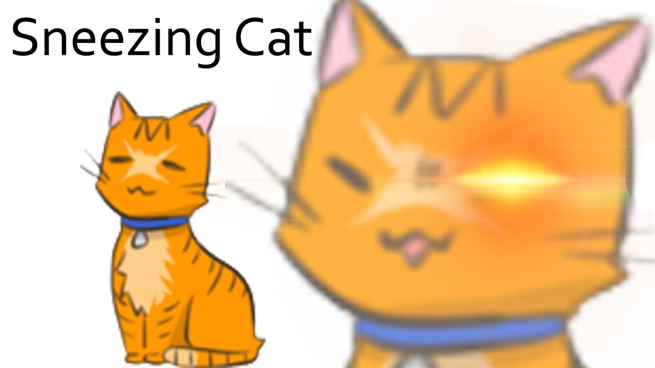 Sneezing Cat | Comic Dub - YouTube