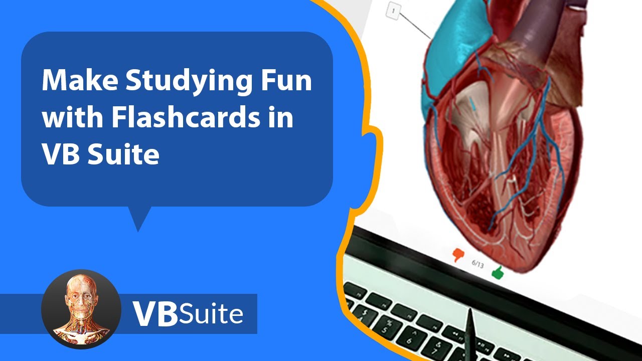 Make Studying Fun with Flashcards in Visible Body Suite - YouTube