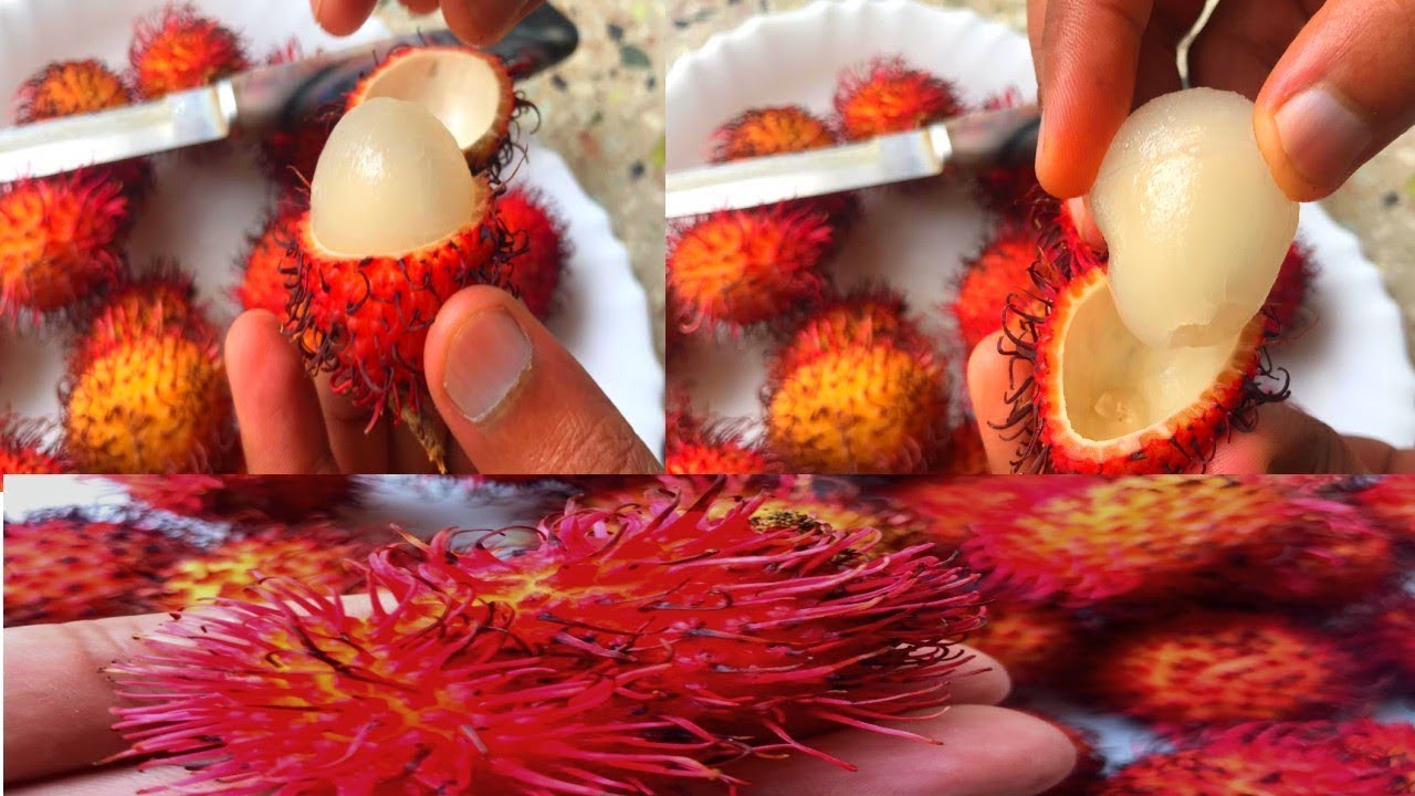 What is the best way kids to eat rambutan? - YouTube