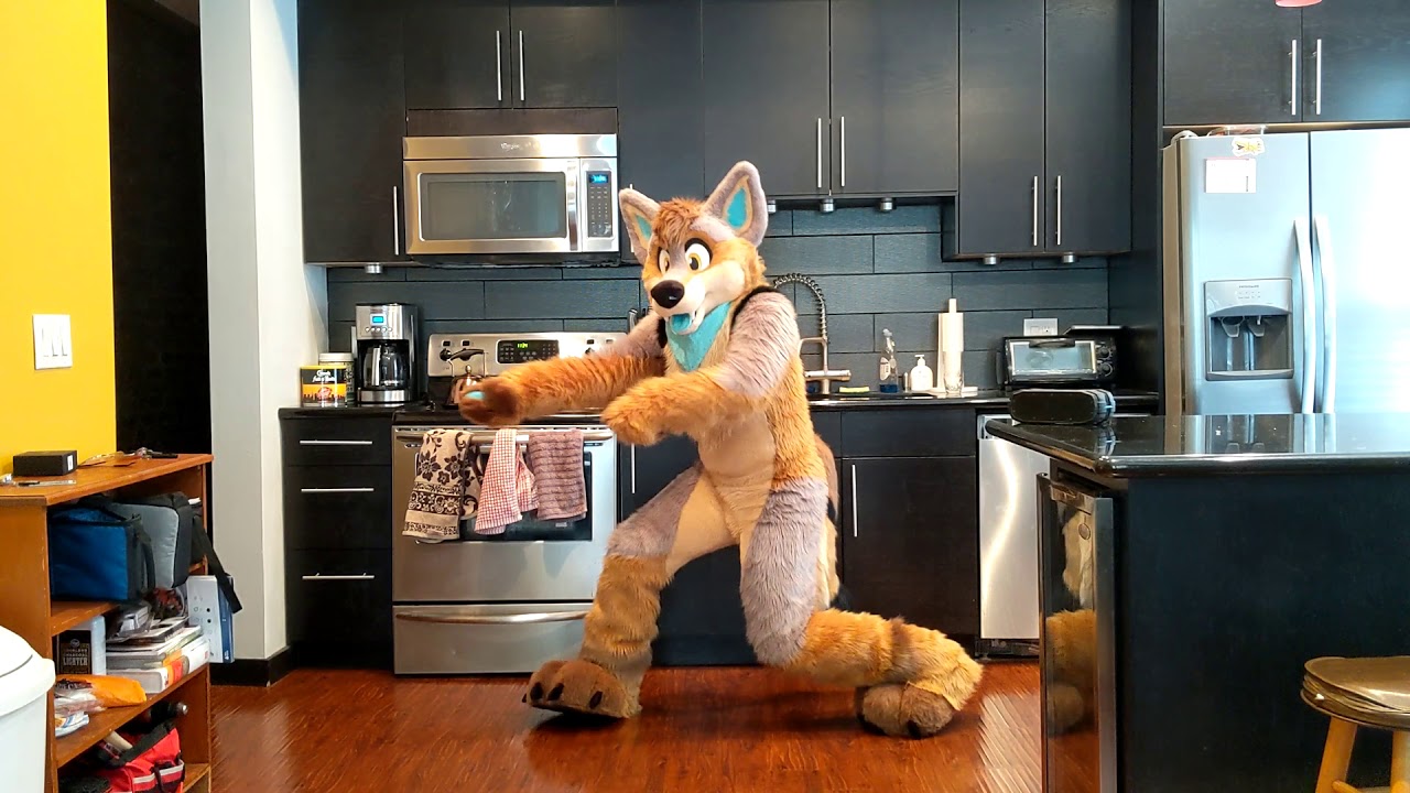 My Shadow | Fursuit Freestyle - YouTube