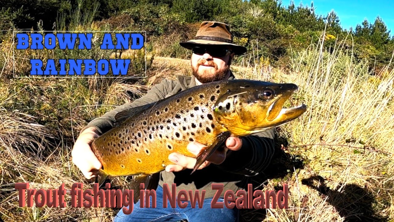 Rangitaiki River Trout Fishing Big Brown & Rainbow in NZ Ep 149 - YouTube