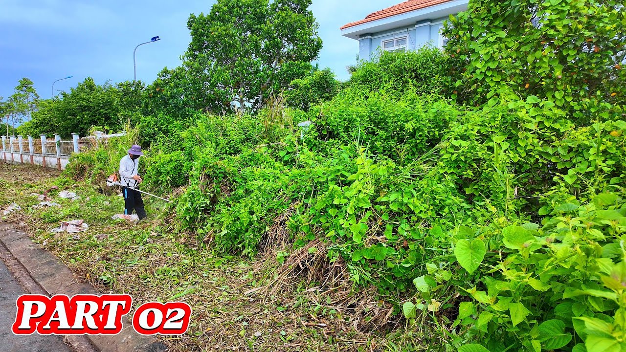 Clearing the Jungle Road – We Found Layers of Rotten Trash Buried for ...
