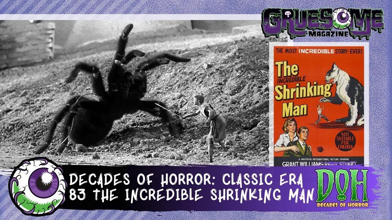 Incredible Shrinking Man Spider