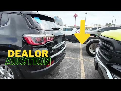A New Dealor Only Auction I have Not Been To WHAT THEY GOT#carmarket# ...