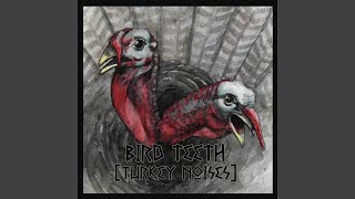 Bird Teeth - Wolf Moon Accords - Chordify