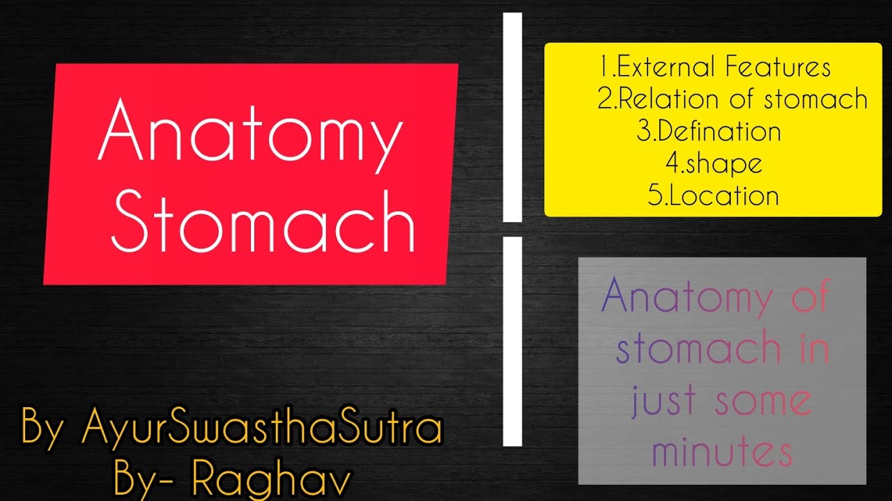 Anatomy Stomach by raghav ayurveda swasthasutra #anatomy#viral #study # ...