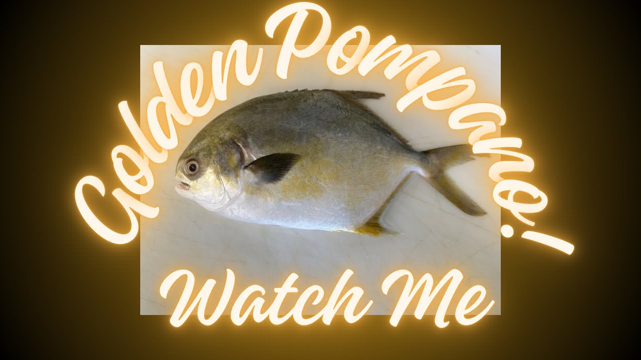 How To Fillet Golden Pompano - YouTube