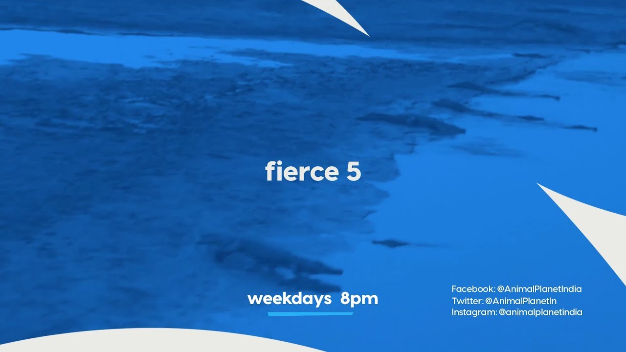 Fierce 5 | Promo | Tonight 8 PM - YouTube