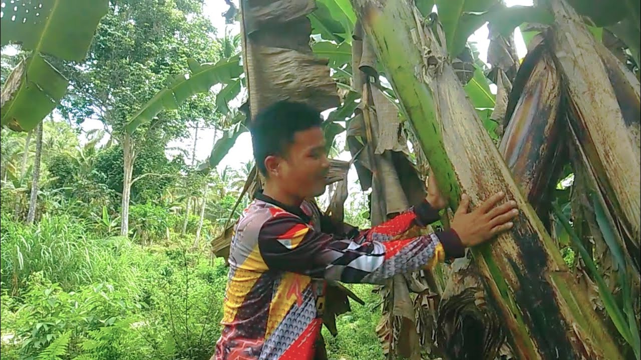 Yaga baligya ng saging🤣 - YouTube