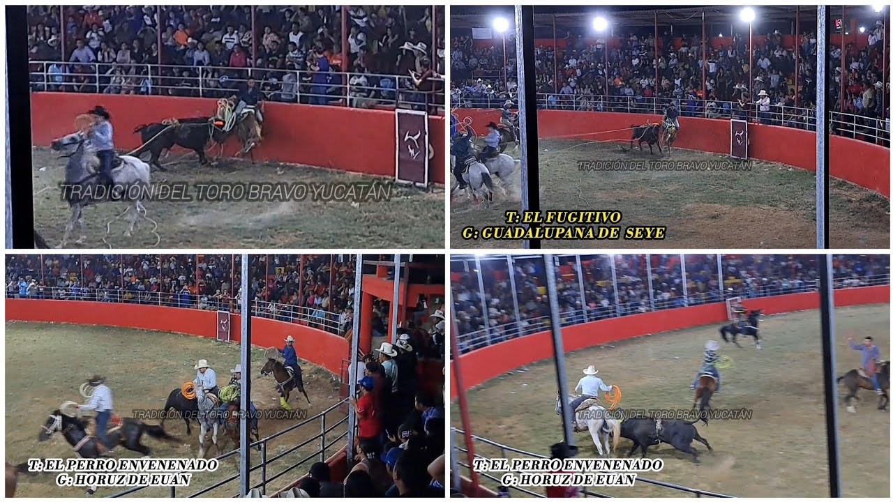 LOS TOROS QUE SEMBRARON EL PAVOR Y EL SUSPENSO EN LA PLAZA 🏟 LA ...