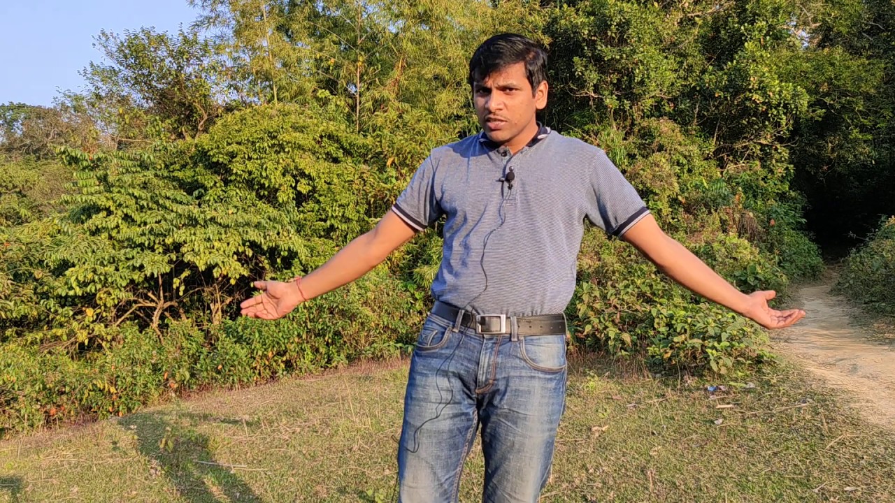 Natural area in Assam cachar district - YouTube