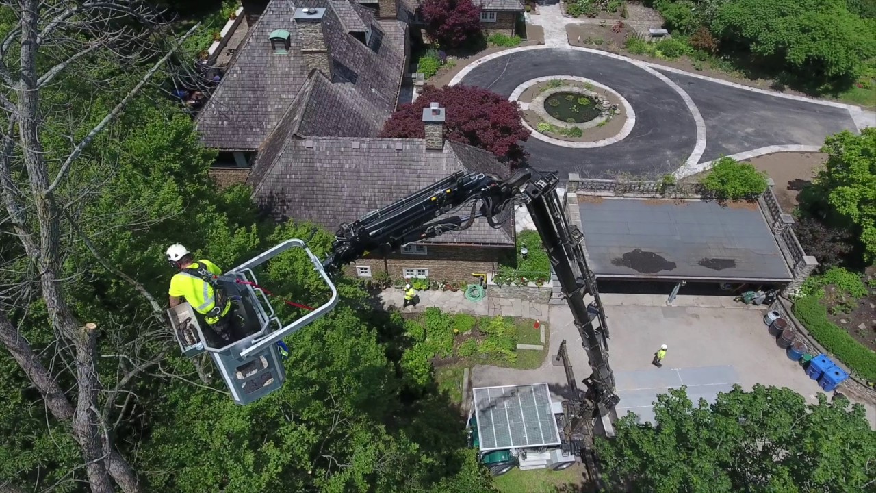 DTC- Hiab Basket Hazardous Ash Tree Removal - YouTube