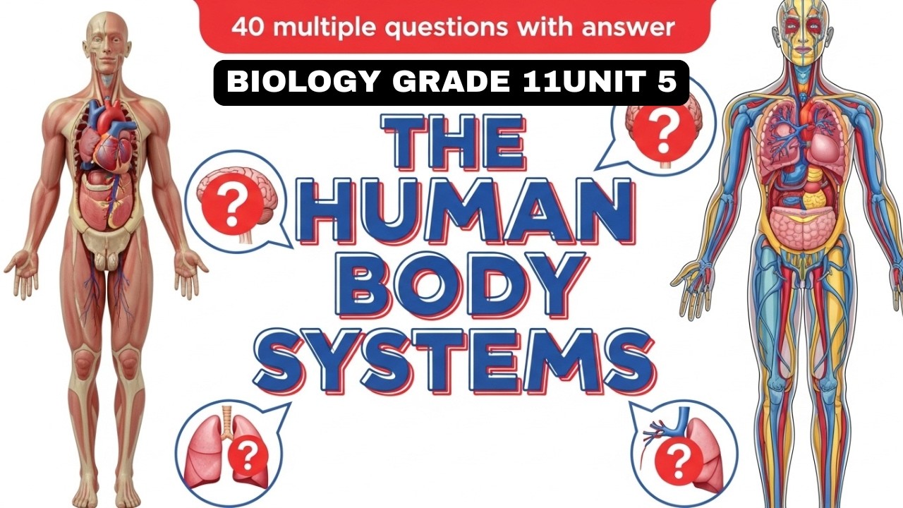 BIOLOGY GRADE 11 UNIT 5/🧠HUMAN BODY SYSTEMS |40 MCQ QUIZ TEST YOUR ...